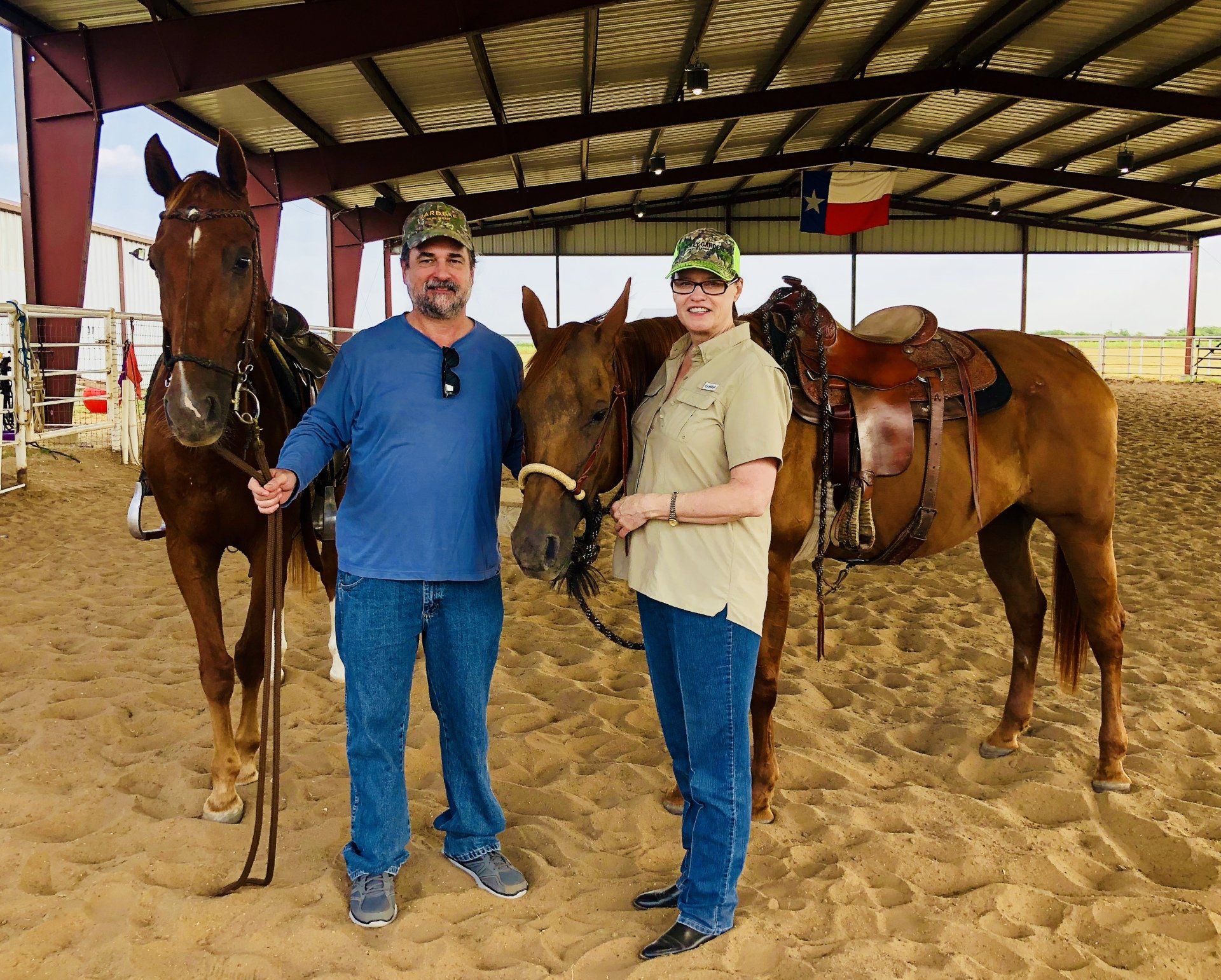 Horse Rescue & Rehoming | Windy Hill Equine Rescue