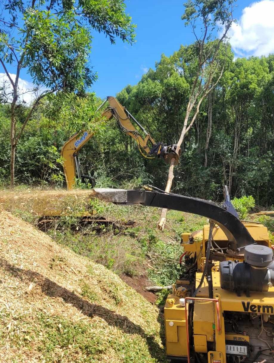 Gallery | Bluey's Tree Removals Pty Ltd