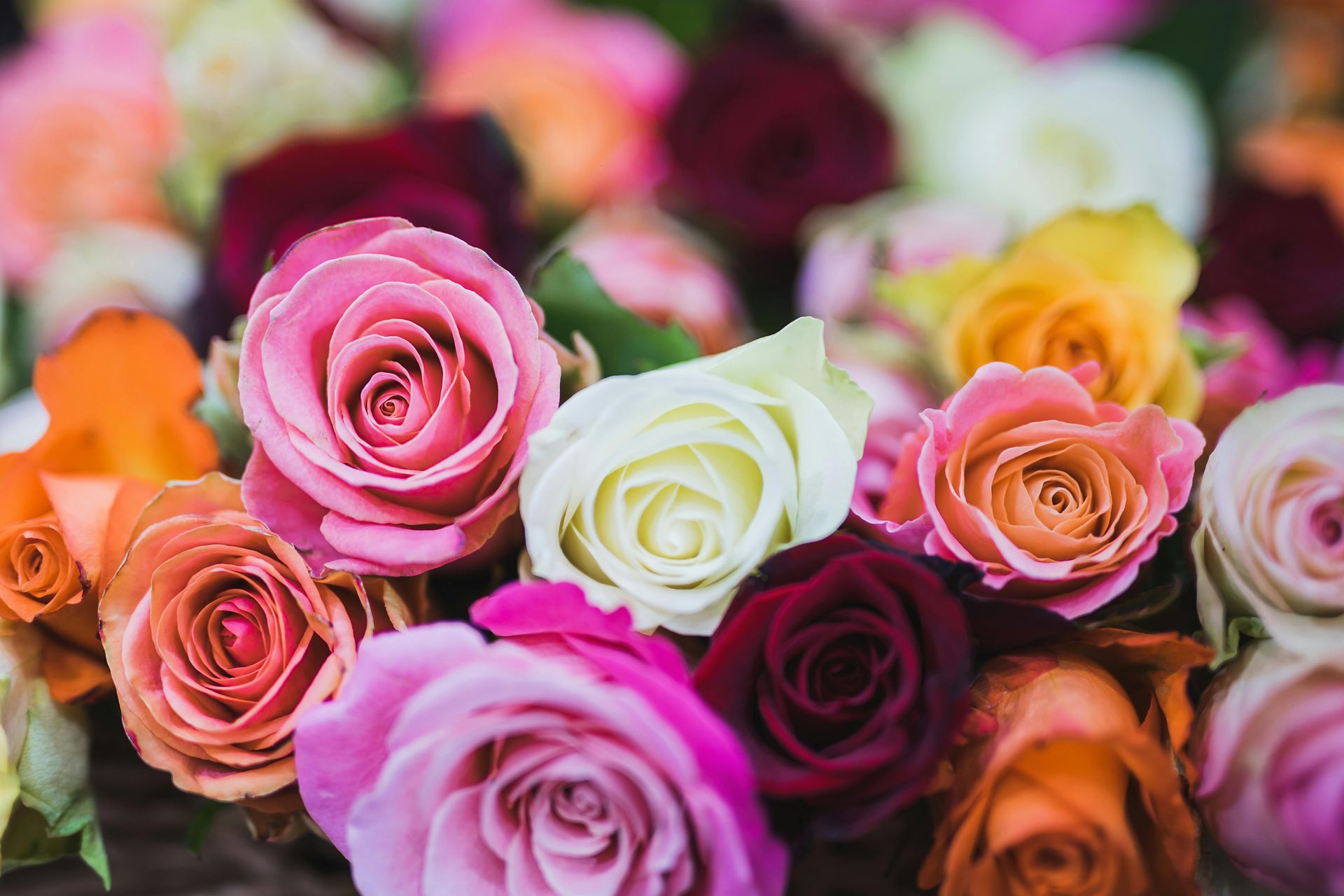The Meaning of Funeral Flowers | Black Country Funerals