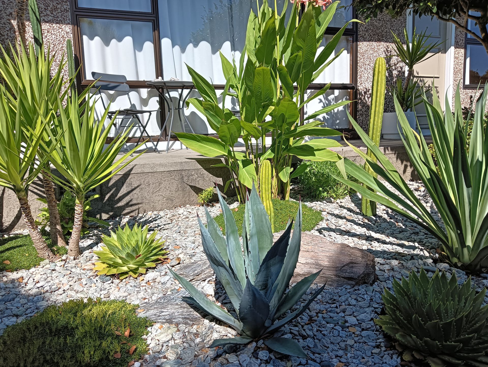 David Taylor Landscape Architect in Christchurch