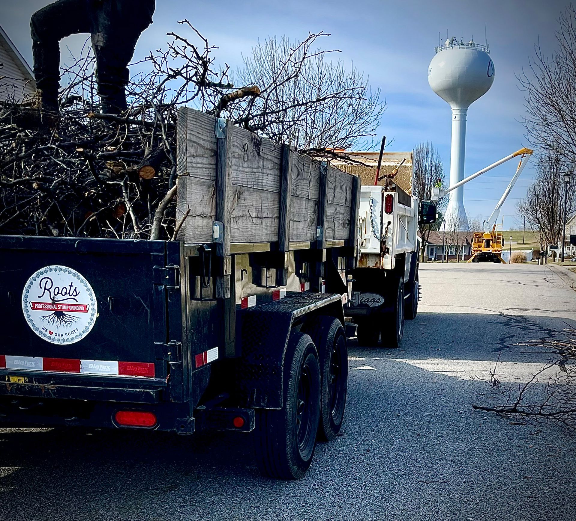 Tree Services | Metro-East and St. Clair County Region | Roots Tree ...