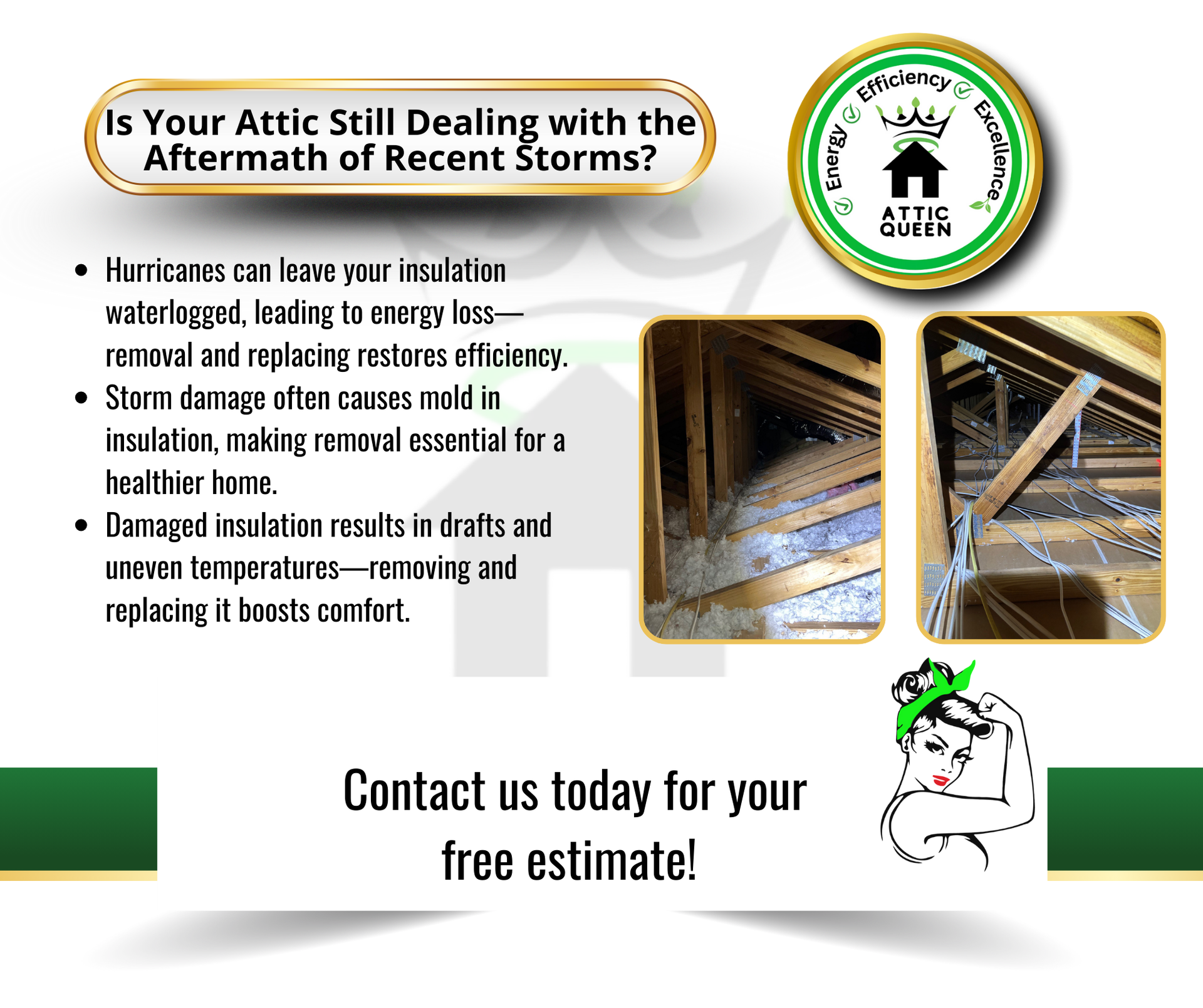 Attic Upgrades Gallery - Oldsmar, FL - Attic Queen