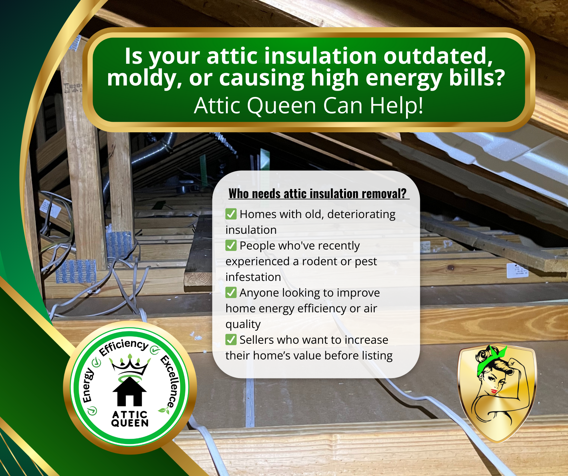 Attic Upgrades Gallery - Oldsmar, FL - Attic Queen