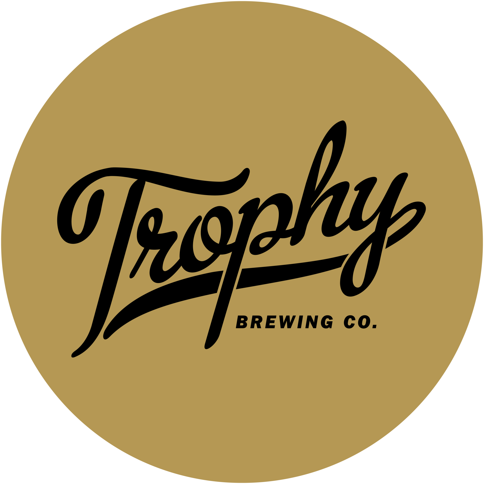Downtown Raleigh Brewery & Craft Beer | Trophy Brewing