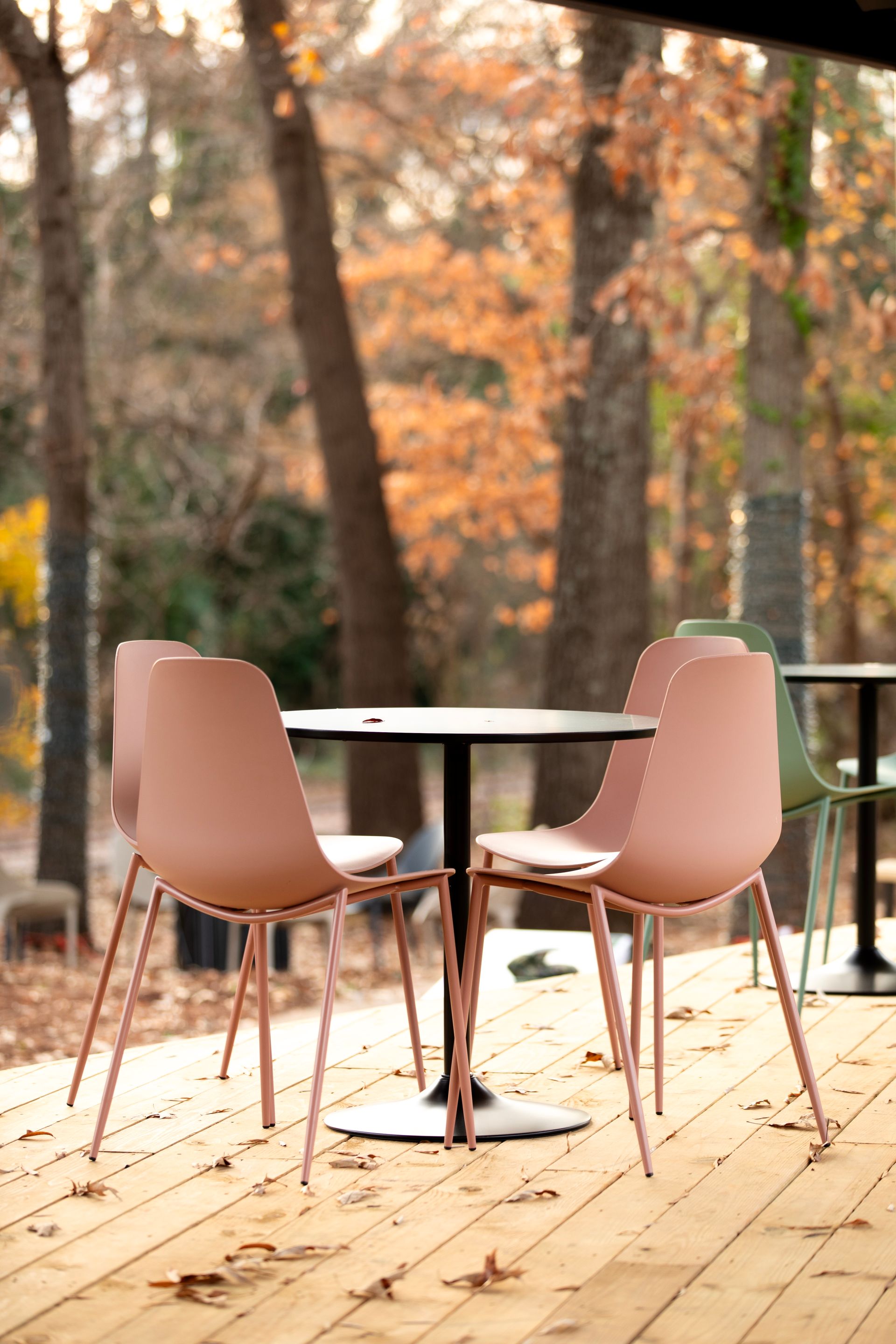 Downtown Raleigh's Bottle & Sandwich Shop | State of Beer