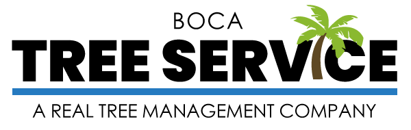 Tree Service Boca Raton | Tree Trimming | Tree Removal