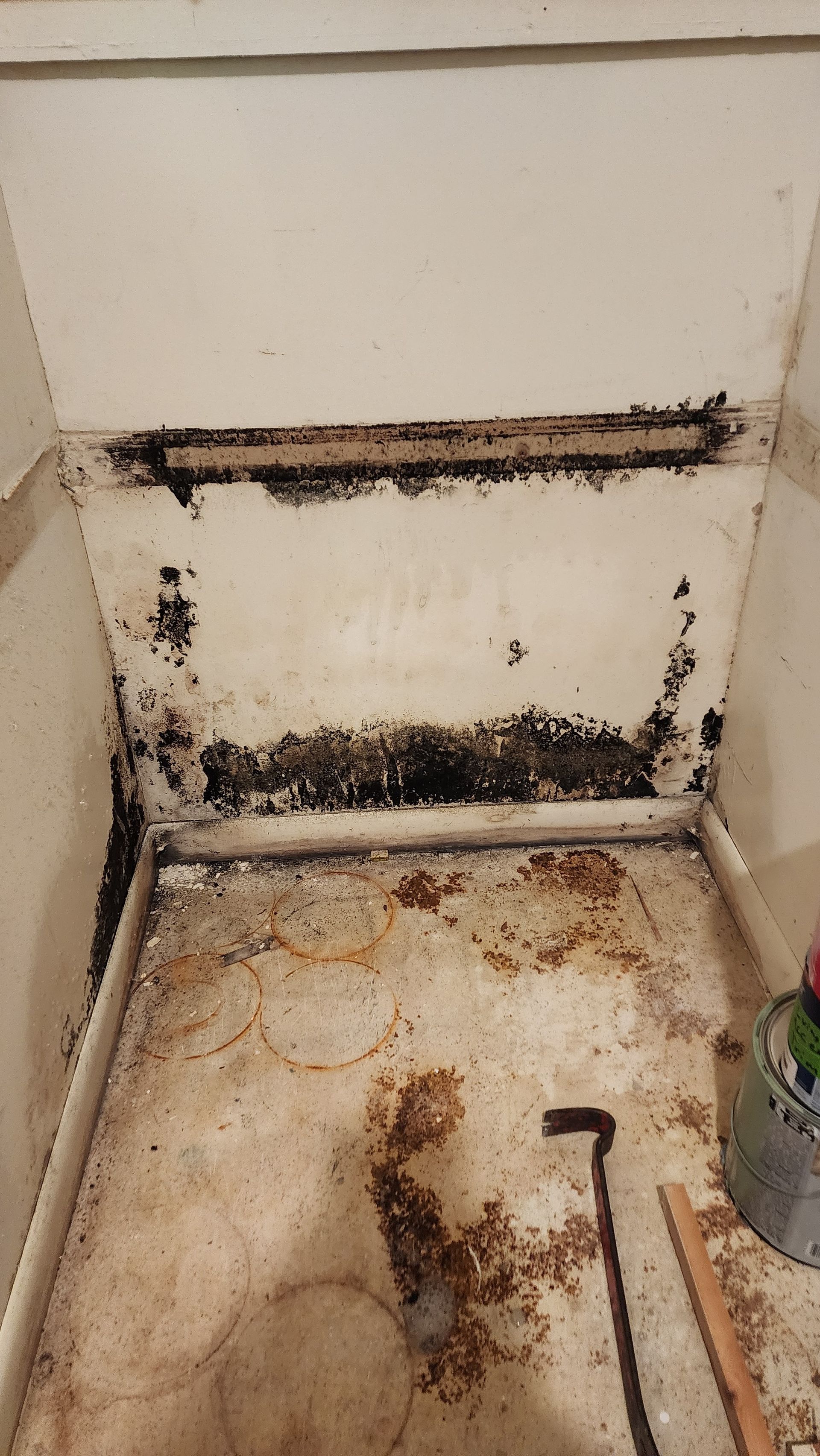 Mold Remediation, Mold Damage Restoration | Hometown Water & Fire ...