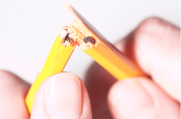 Do your kids struggle with writing? Sue Patterson shares insight.