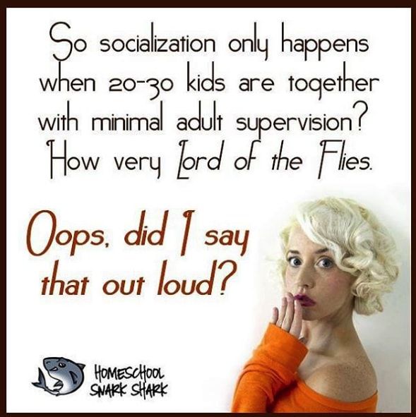 50 Comebacks for Homeschooling Naysayers