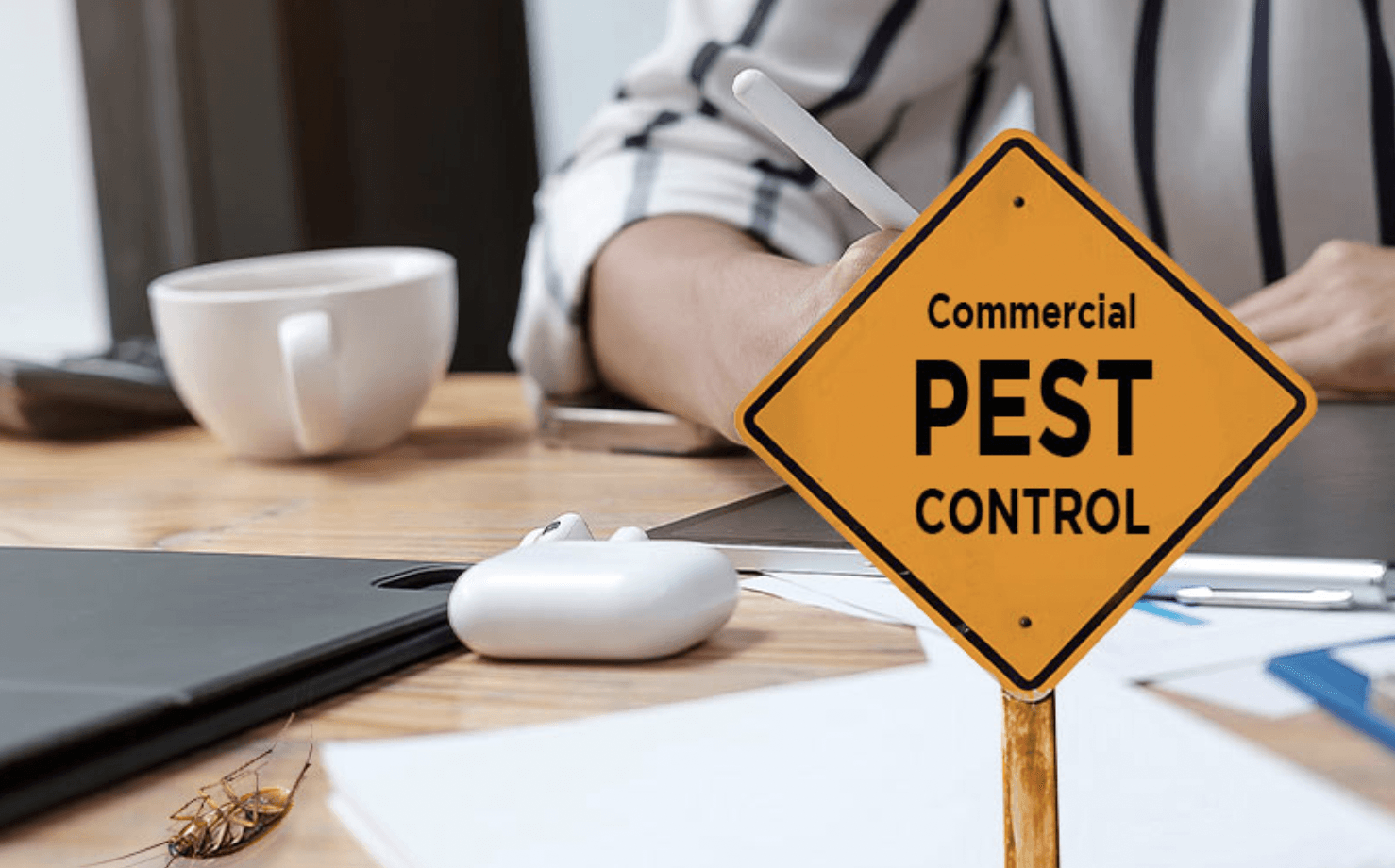 Dixie Isle Pest Control - Top Rated Pest Control - Galveston Island ...
