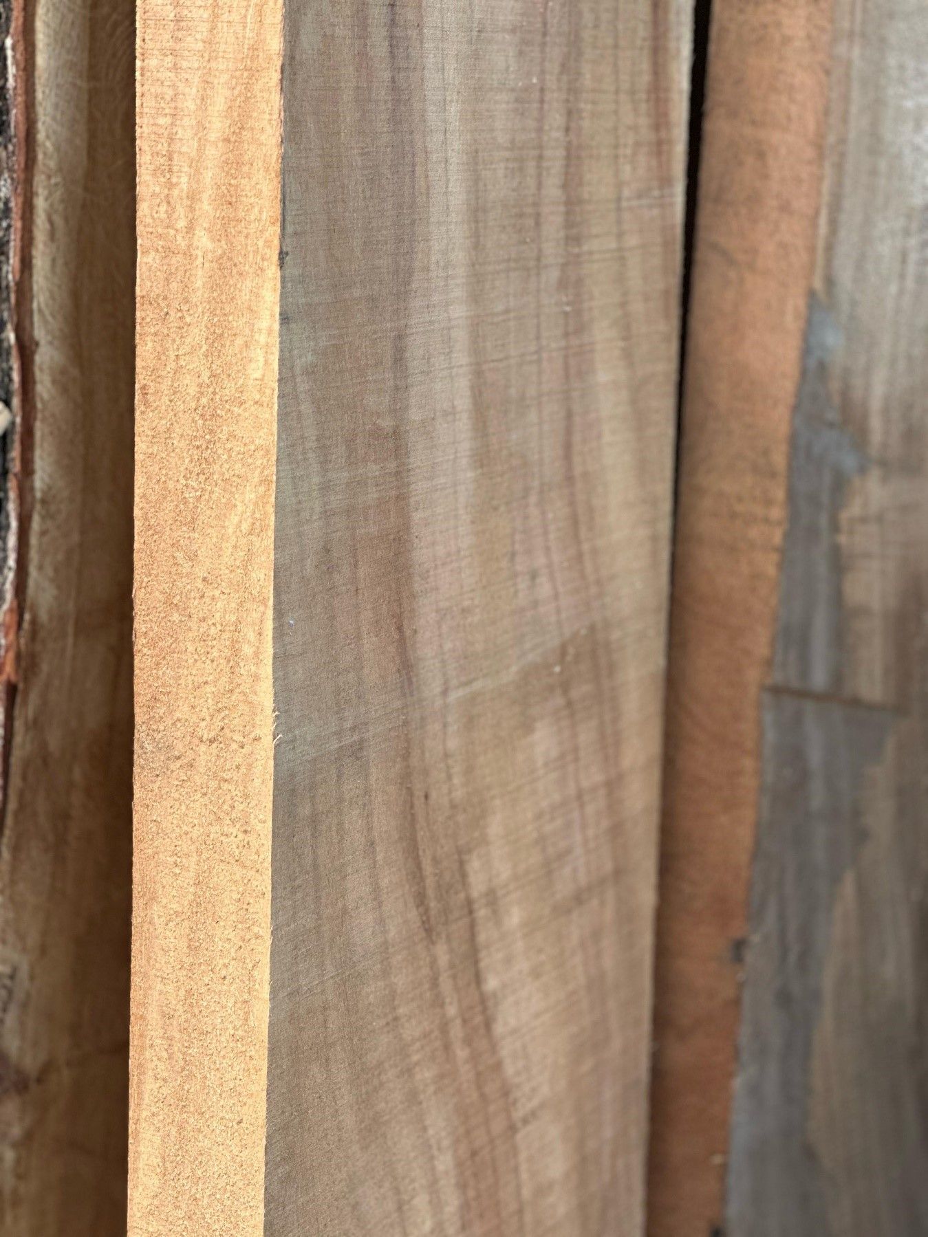 Venta de Madera y Aserradero en Santa Tecla | MADERAS SAN ANTONIO