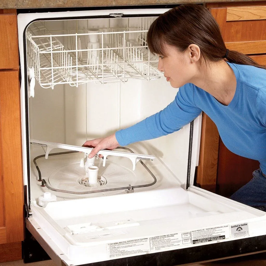 Dishwasher Dilemmas: Identifying and Fixing Malfunctions