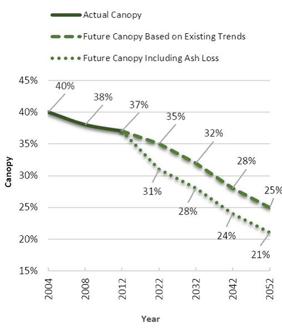 Louisville's Tree Canopy