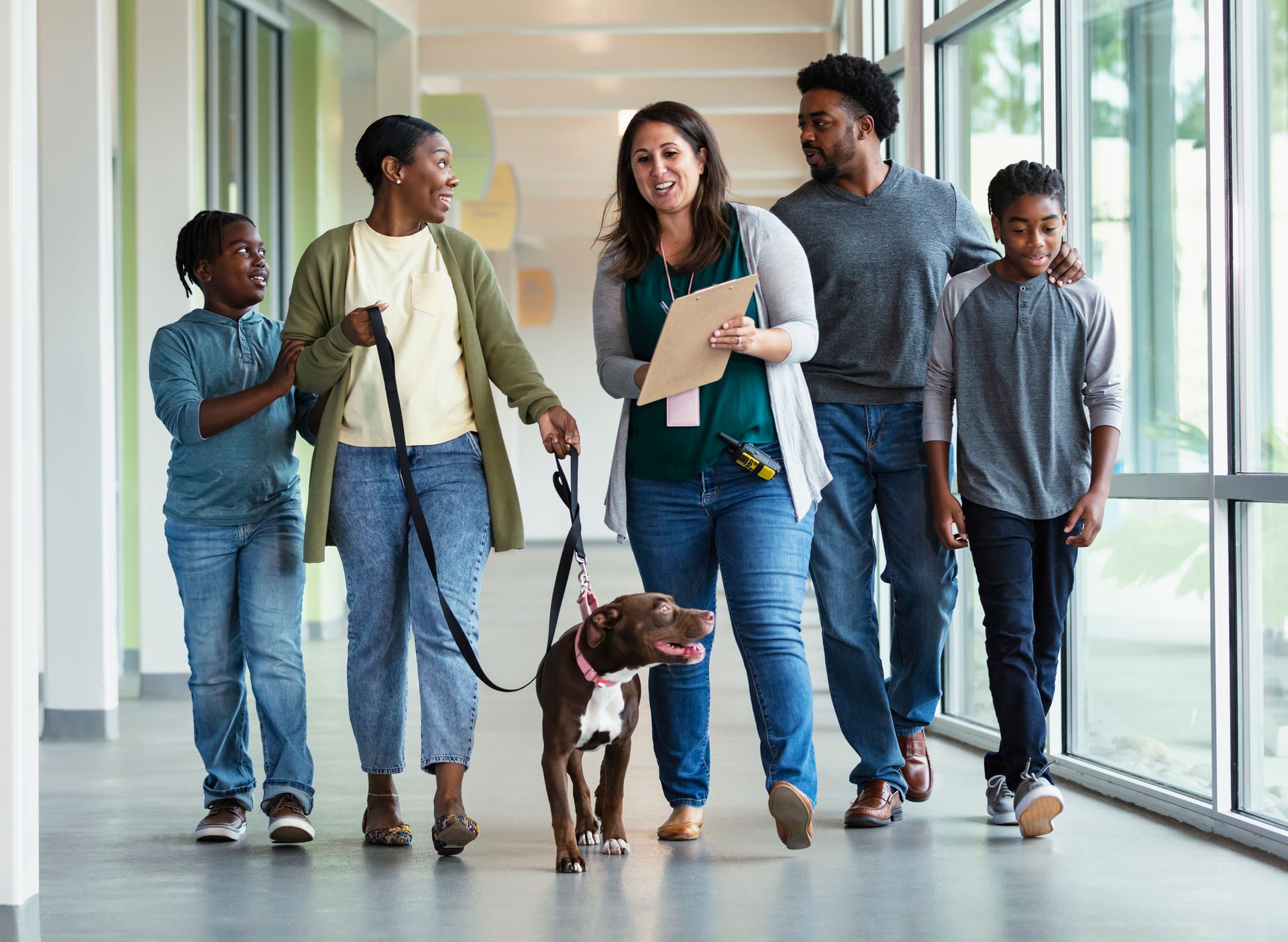 When should you take your dog to the Vet?