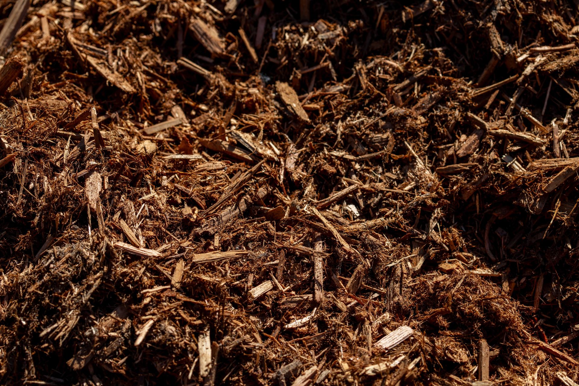 Mulch Samples