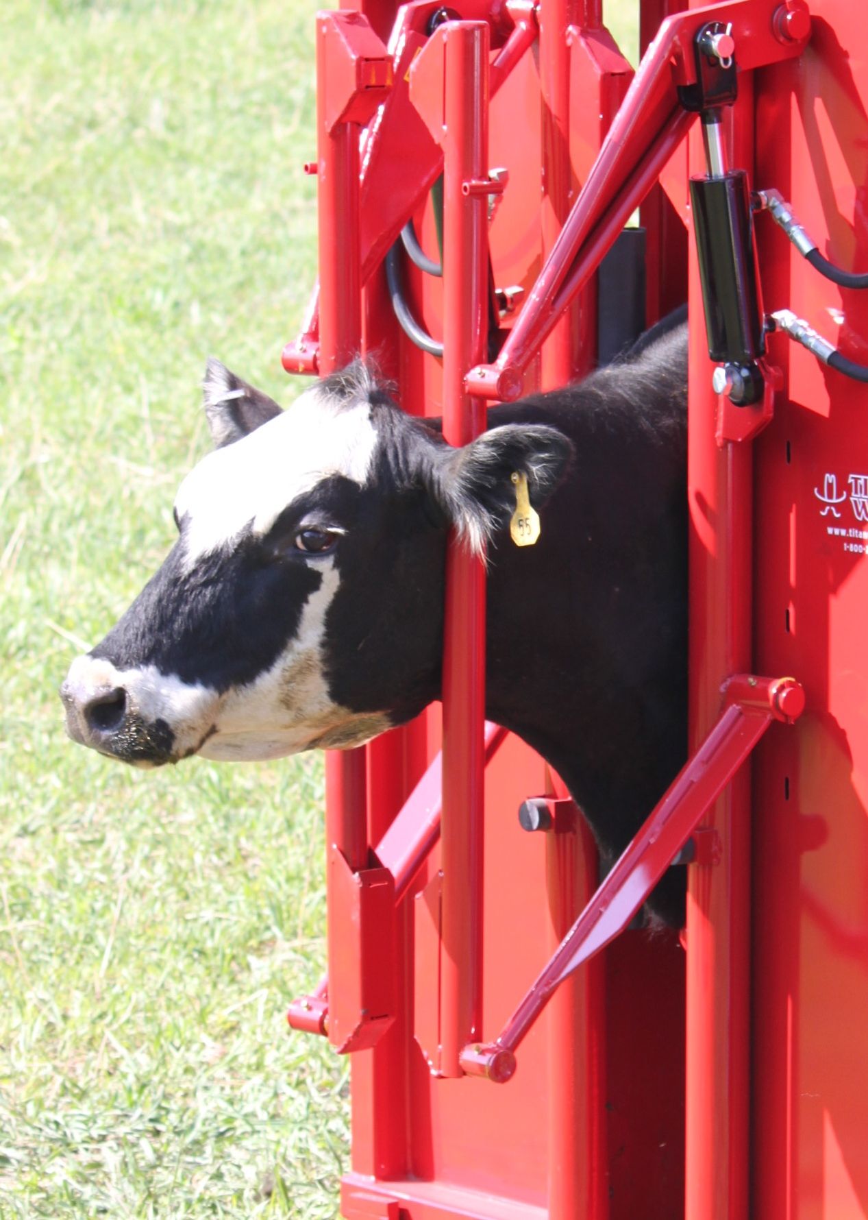 Titan West Inc. | Livestock Handling Equipment