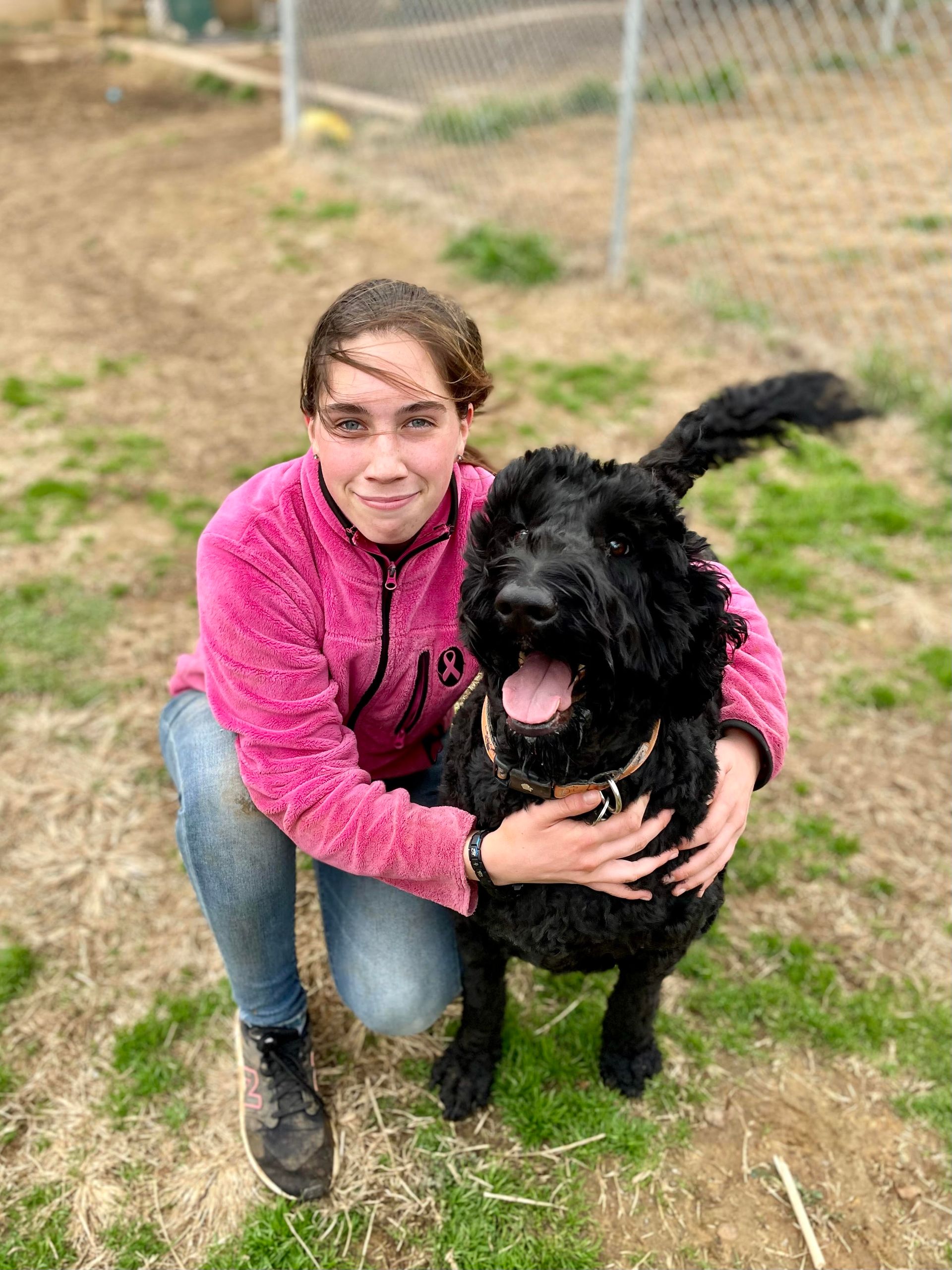 Pet Portfolio | Harrisburg, NC | Wyolina Kennels