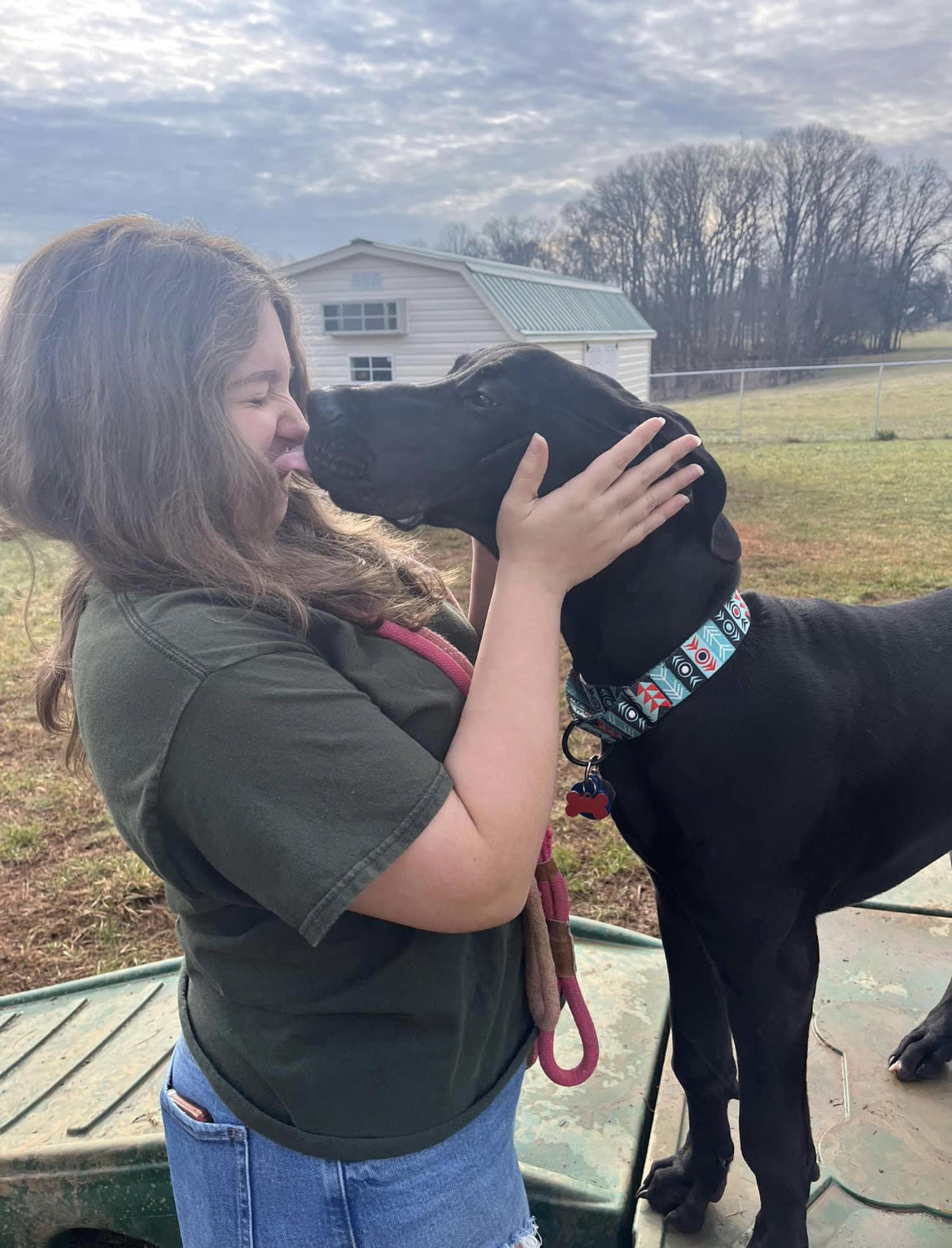 Pet Portfolio | Harrisburg, NC | Wyolina Kennels