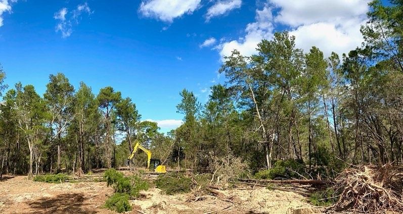Coscia Land Management | Lake Wales, FL | Land Management Company