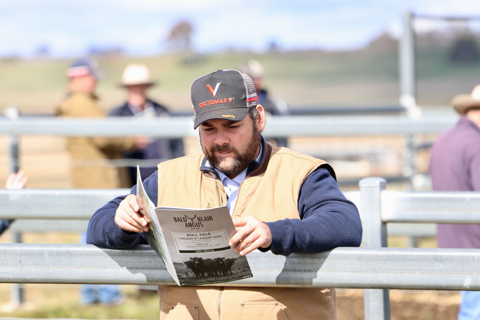 Bull Sale | Bald Blair Angus