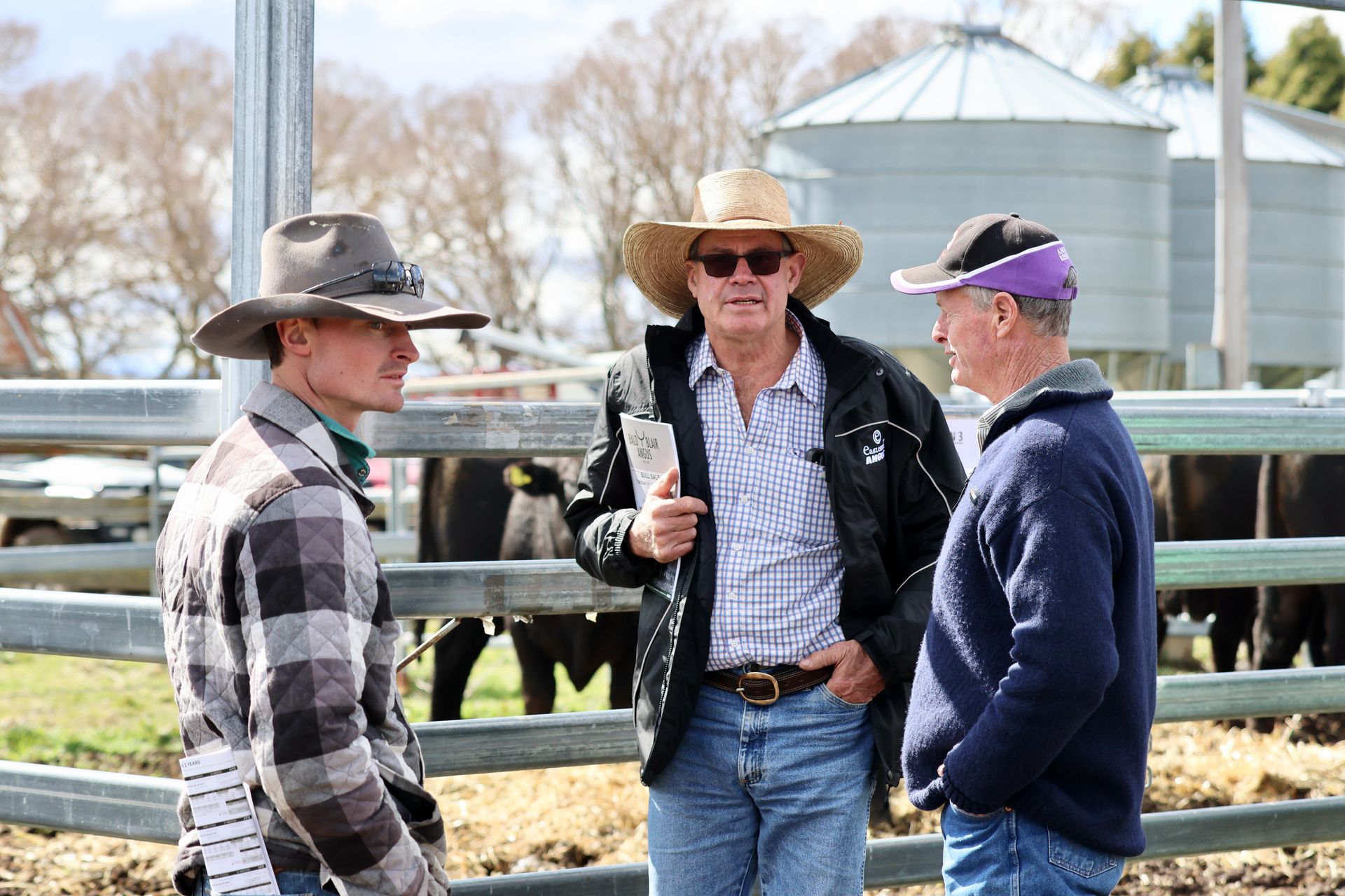 Bull Sale | Bald Blair Angus