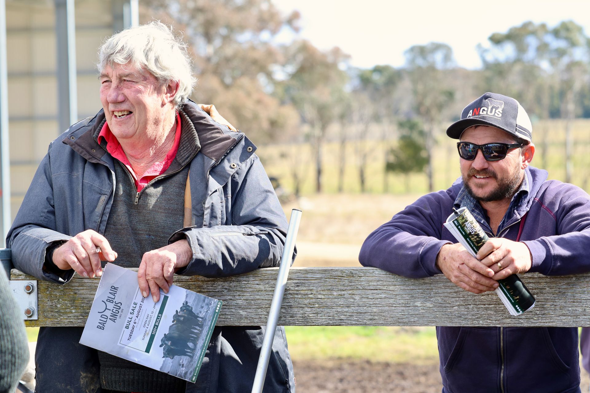 Bald Blair Angus Stud, Angus bulls for Sale NSW