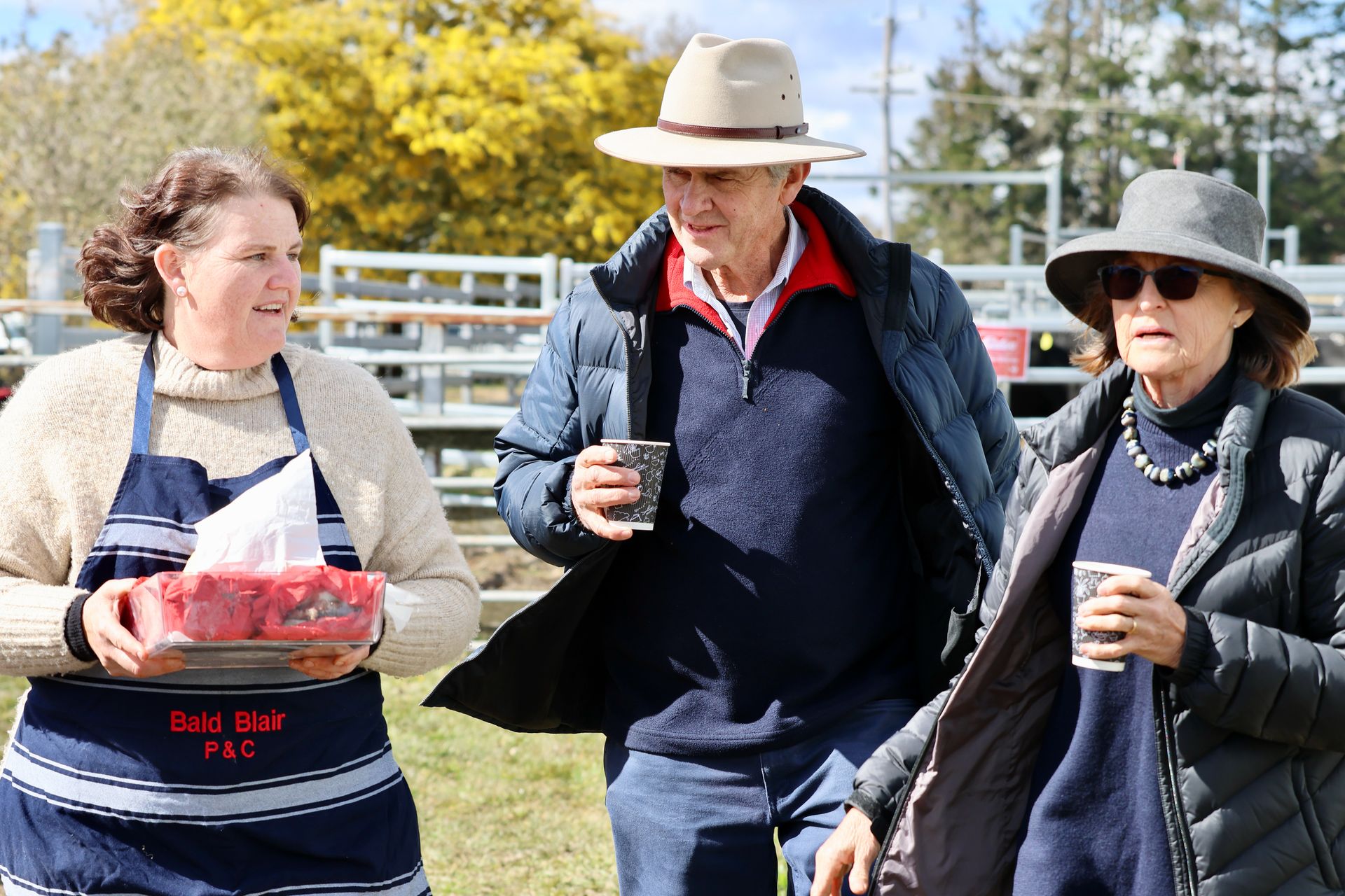 Bald Blair Angus Stud, Angus bulls for Sale NSW