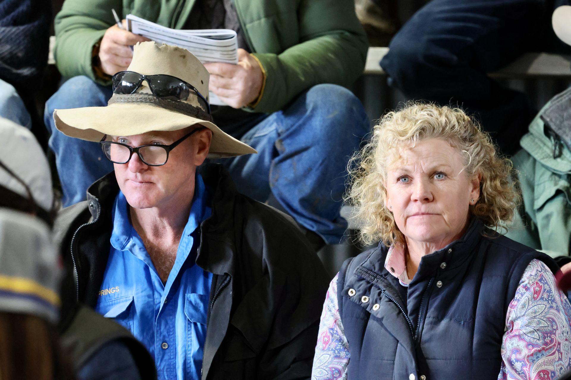 Bald Blair Angus Stud, Angus bulls for Sale NSW