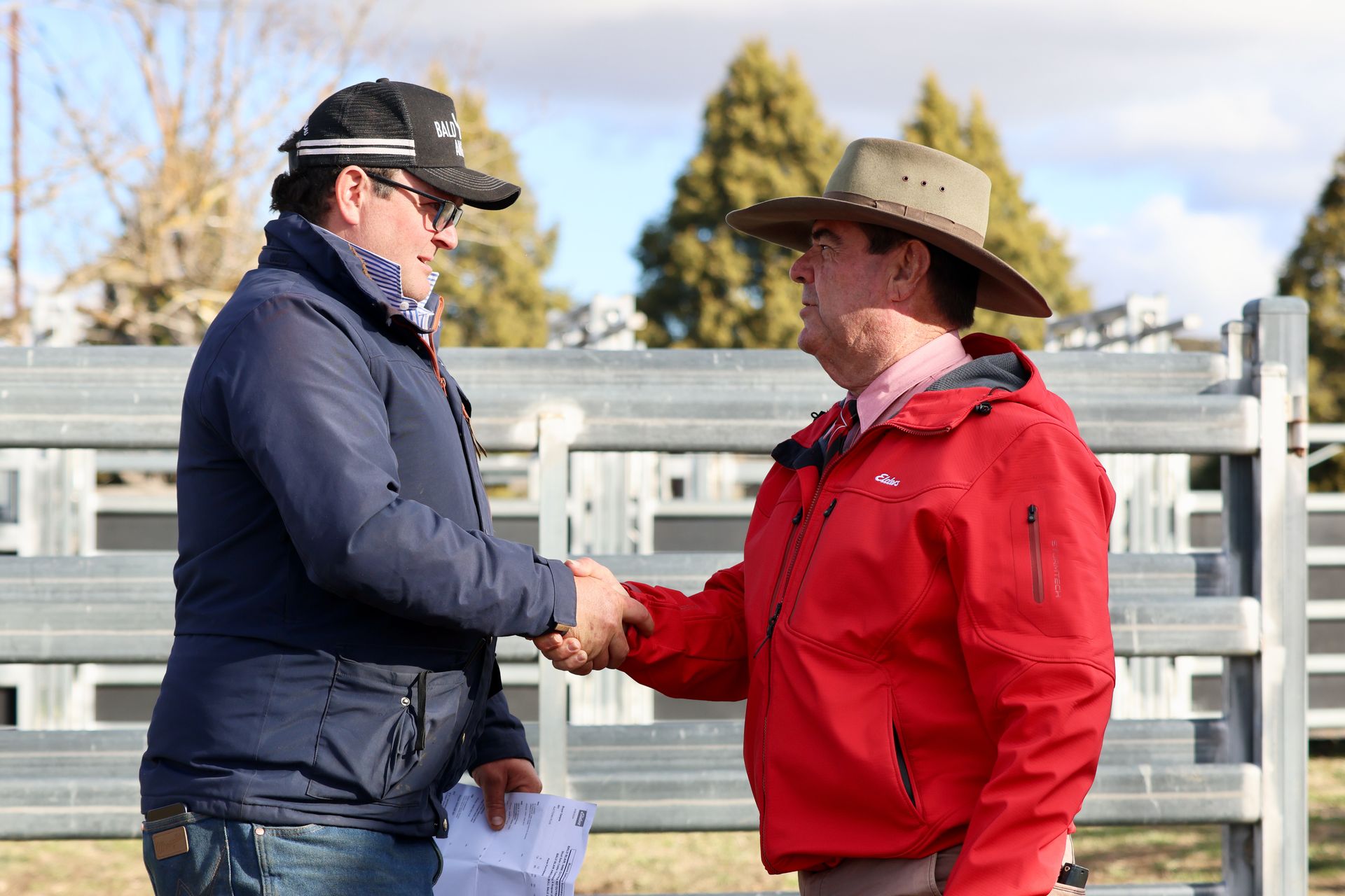 Bald Blair Angus Stud, Angus bulls for Sale NSW