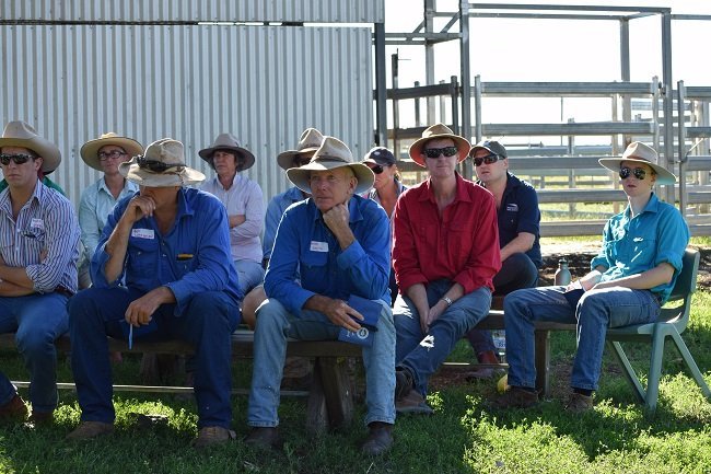 Bald Blair Angus photo gallery of quality angus cattle