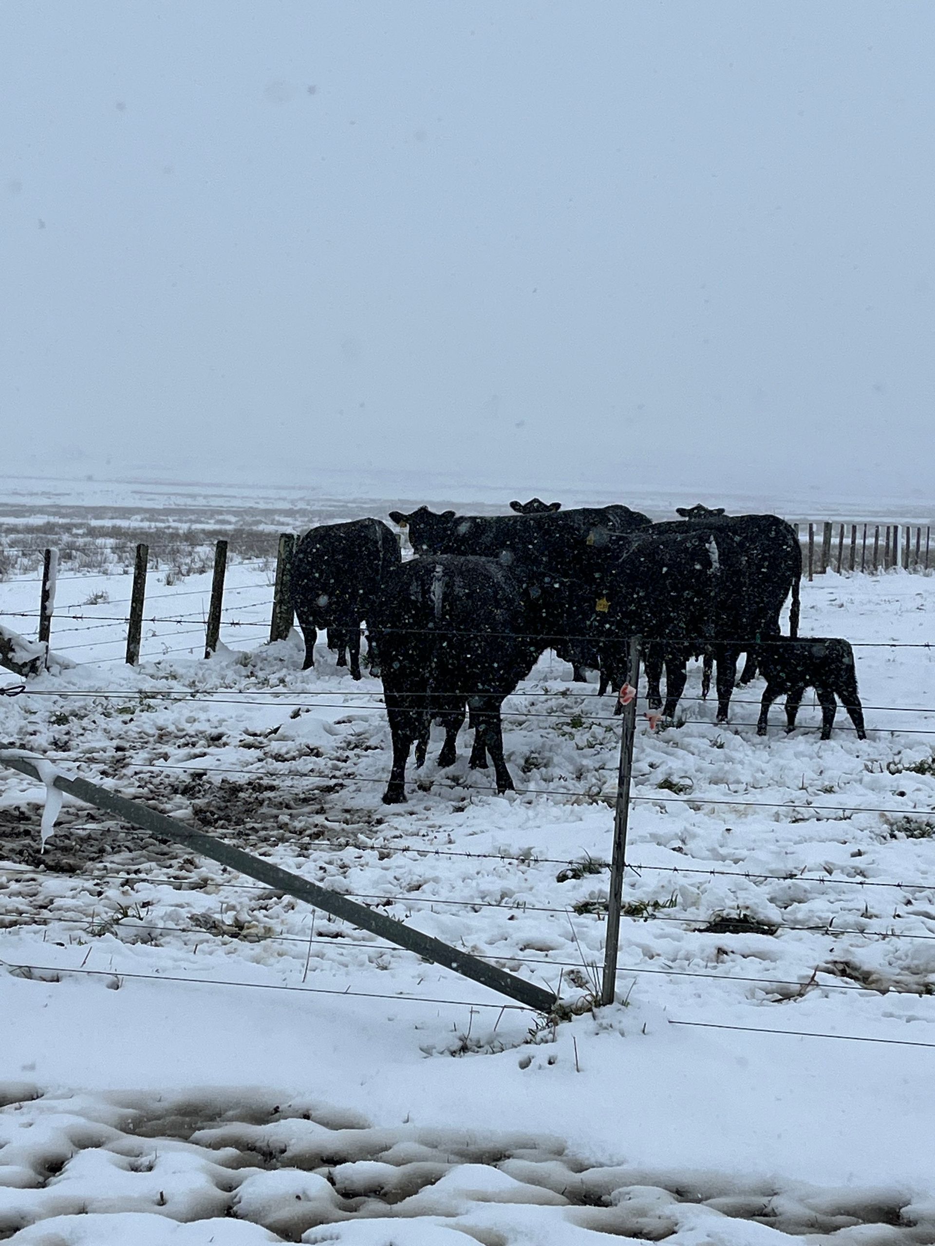 The Boundary Rider's Report September 2025