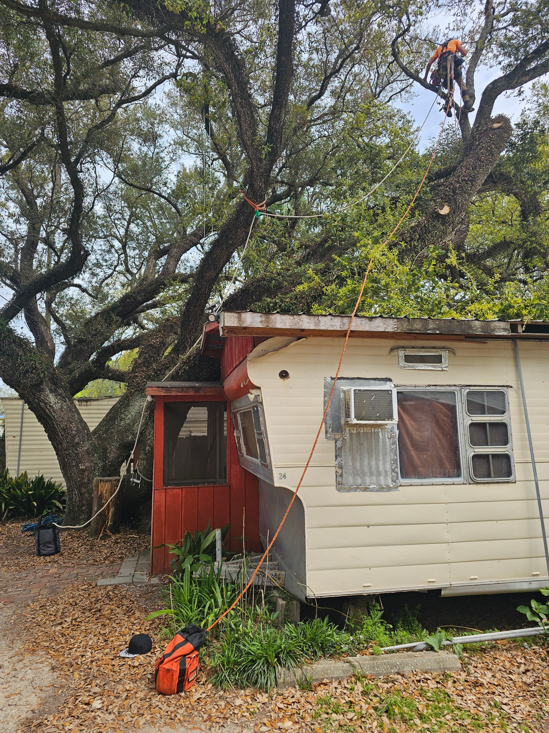 View Our Gallery - Niceville, FL - Complete Tree Service