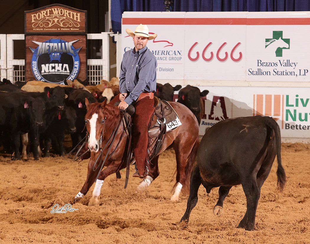 Carny Ranch Home Of Weiss Performance Horses