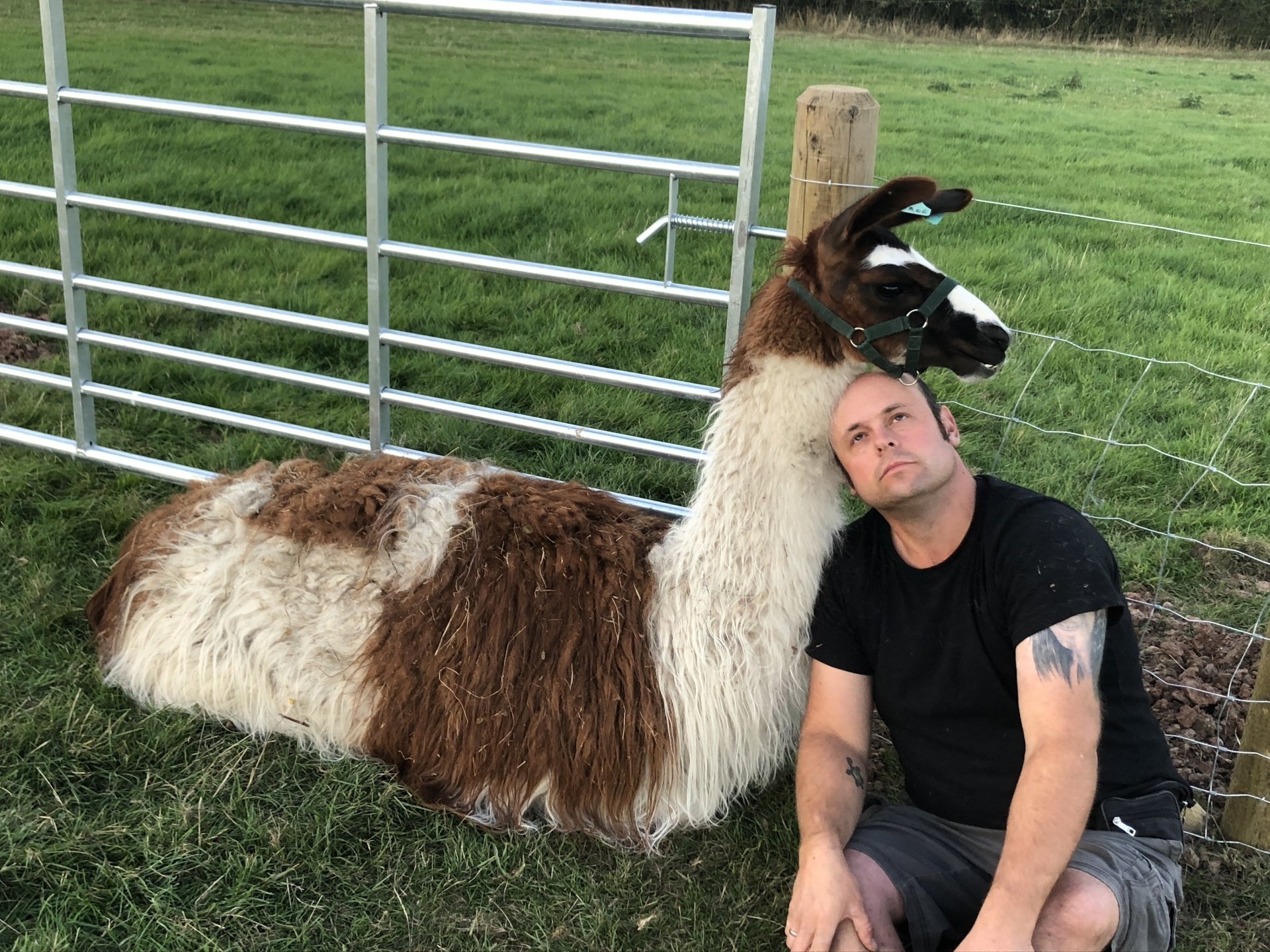 Care Farm - Therapeutic Animal Care - Warwickshire