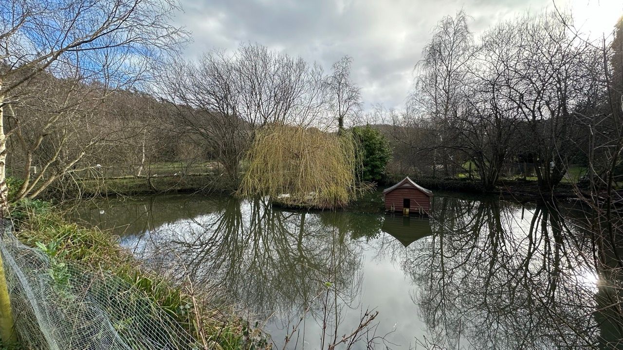 Coarse Fishing at Conwy Water Gardens