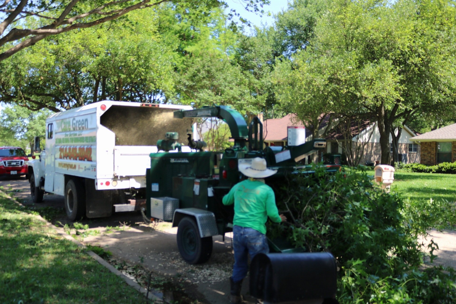 About | Dallas Tree Services | Care Green