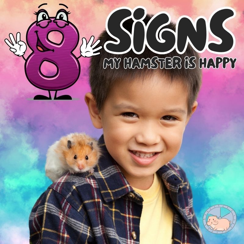 How Do I Know My Hamster Is Happy? Signs of Hamster Happiness
