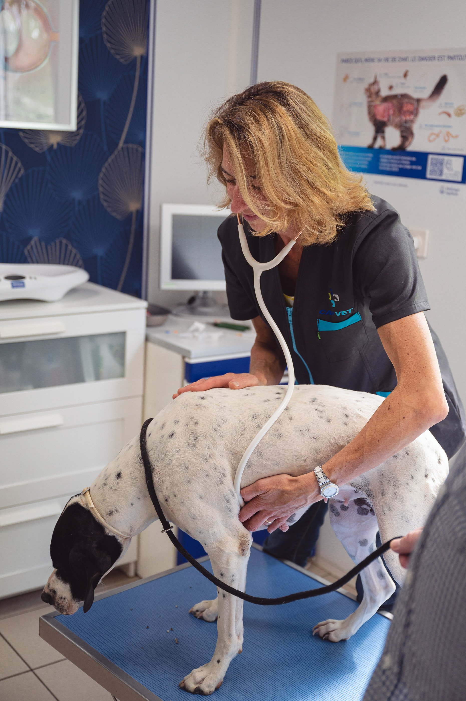 CapVet, des cliniques au coeur du Perche pour tous les animaux