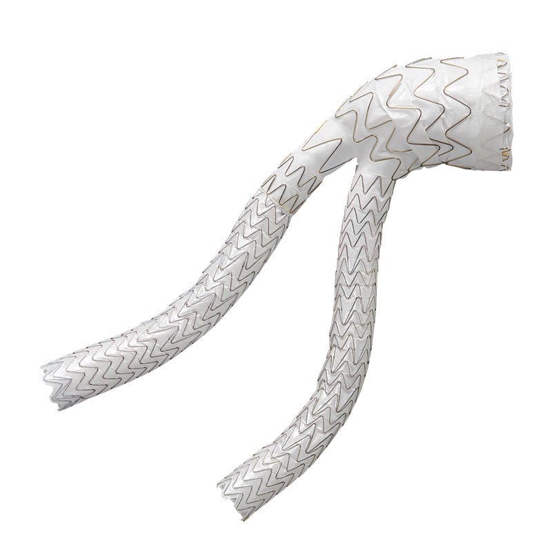 Endoprótesis AAA GORE ® EXCLUDER