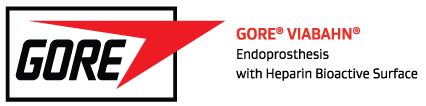 GORE® VIABAHN® Endoprosthesis with Heparin Bioactive Surface