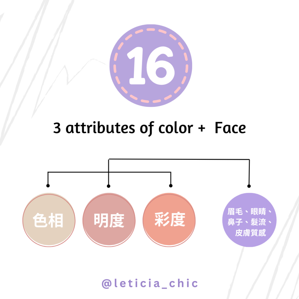 個人色彩分類比一比，12 型跟 16 型個人色彩的差異