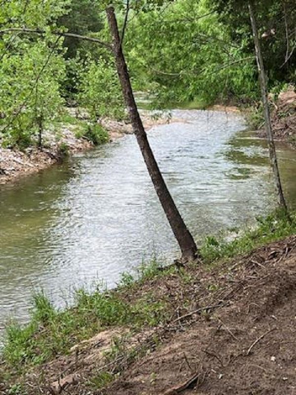 The Bridge House | Cabin Rentals | Buffalo River | Nature's Loft