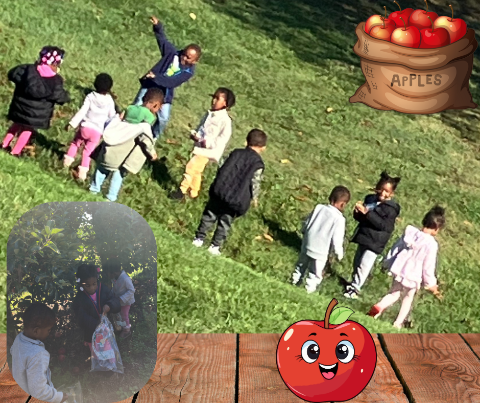 Apple Orchard Field Trip 2024