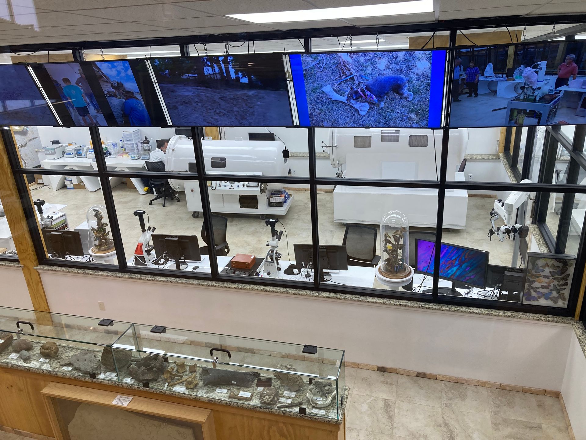 Fossil Research Update