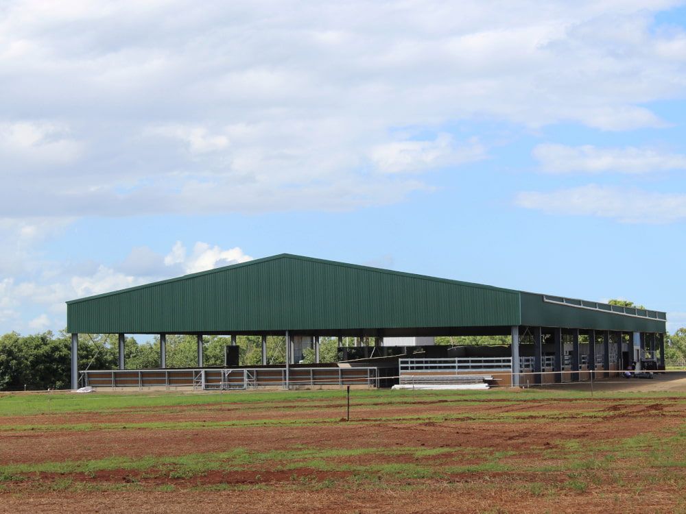 Agistment in Tablelands | Meraki Equestrian Centre