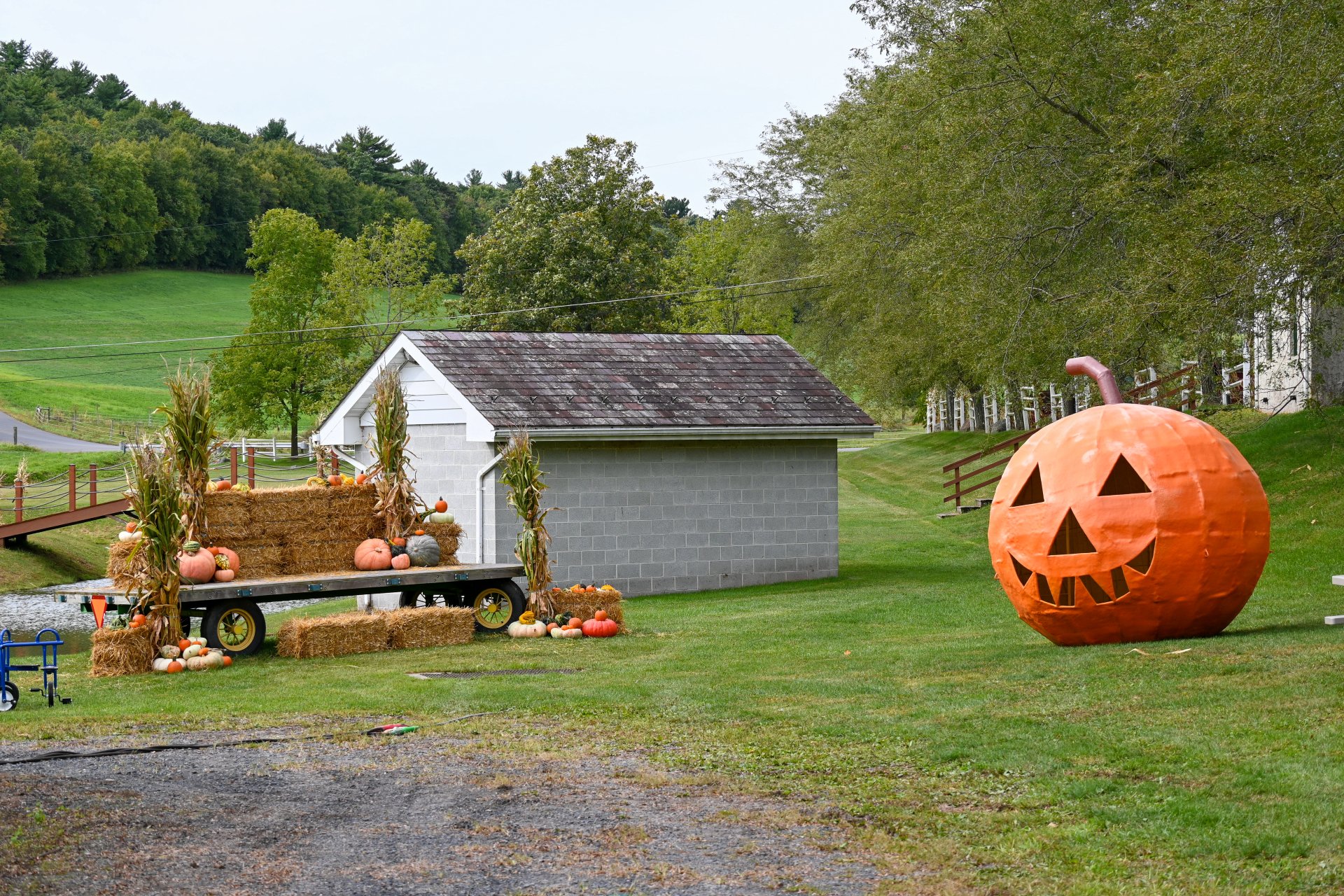 Old Homestead Tree Farm | Find Your Perfect Tree
