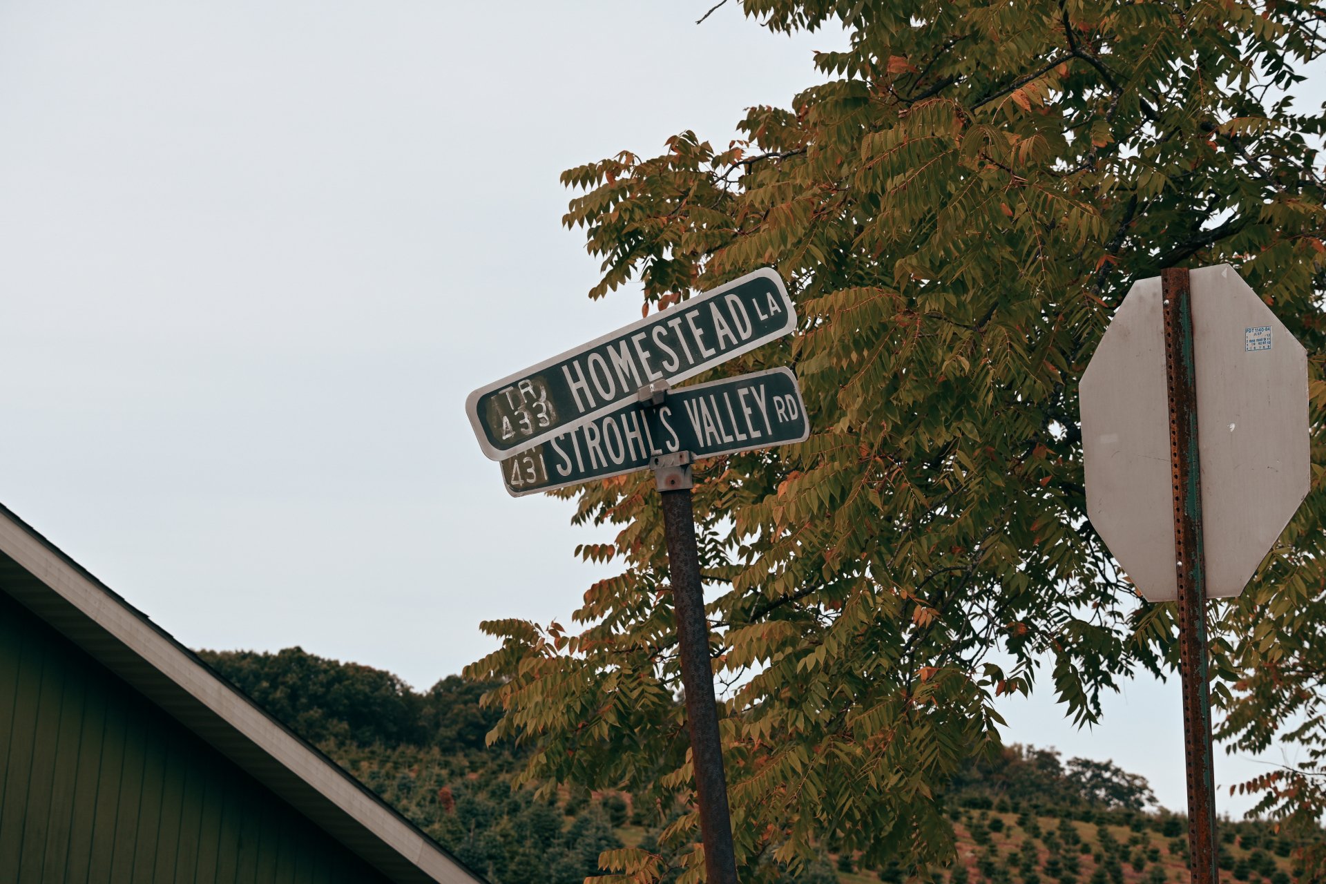 Old Homestead Tree Farm | Find Your Perfect Tree