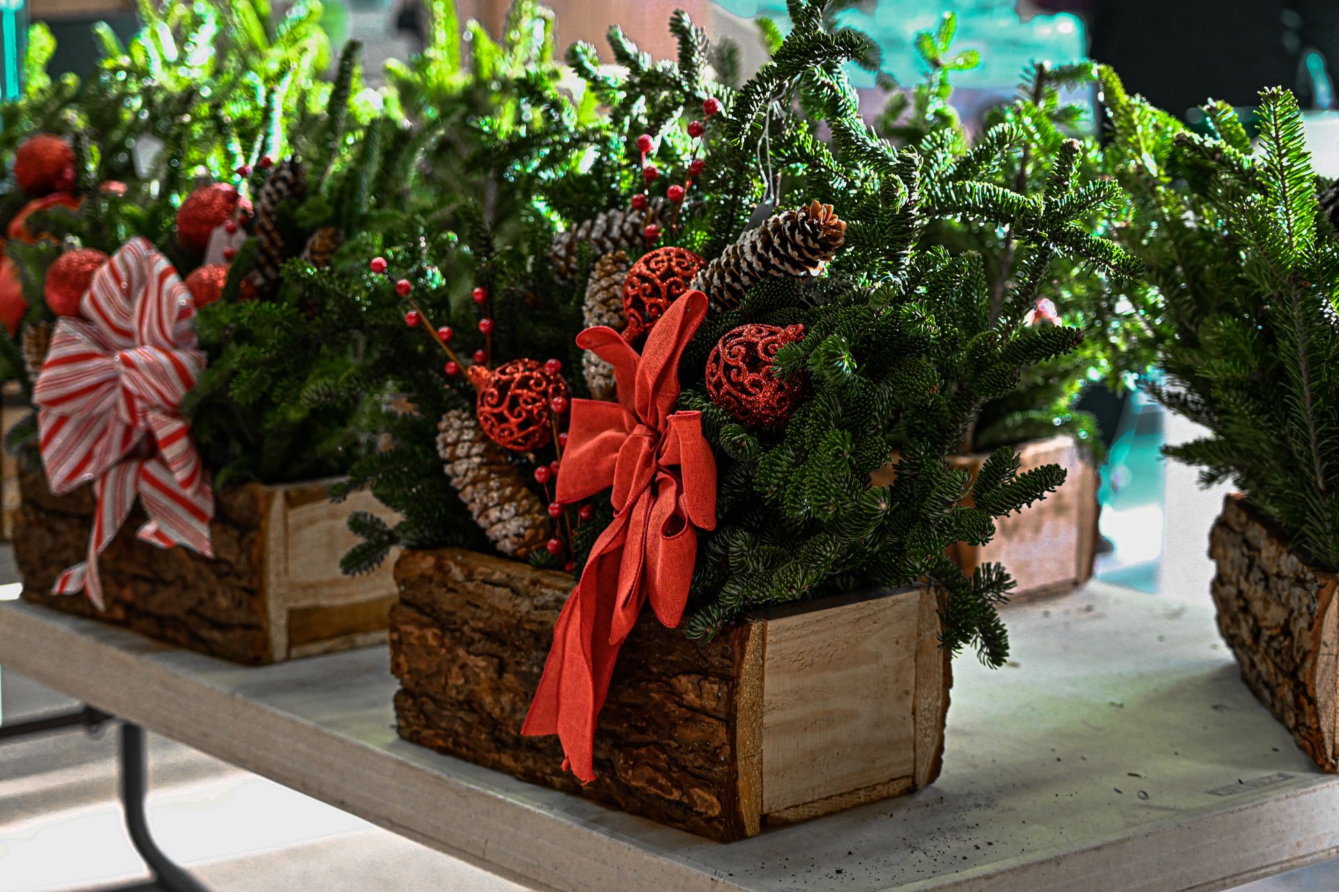 Old Homestead Tree Farm | Find Your Perfect Tree