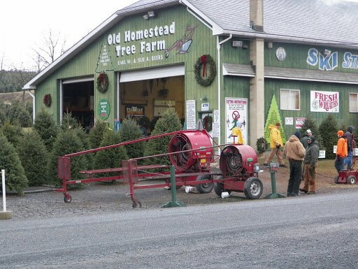 Old Homestead Tree Farm | Find Your Perfect Tree