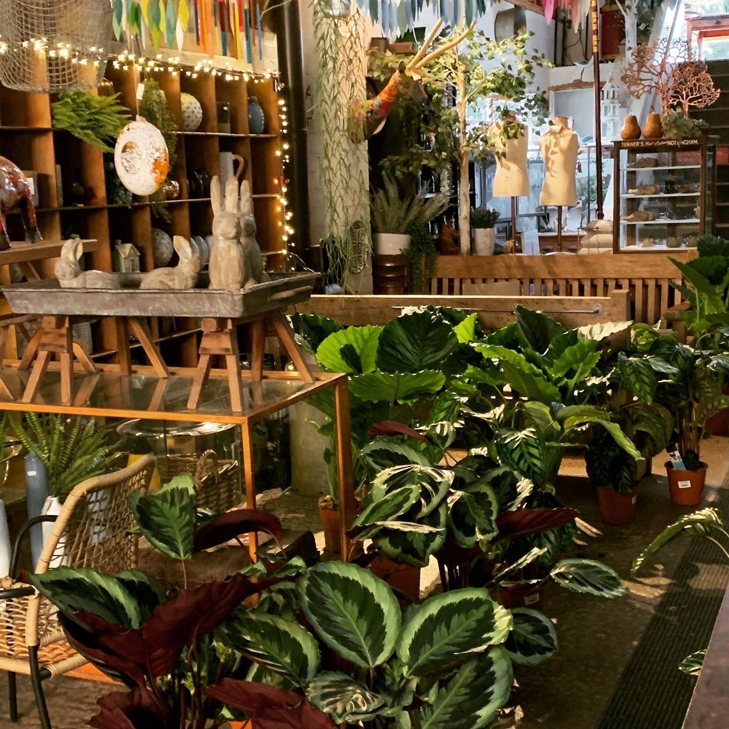 Garden Barn Cotesbach